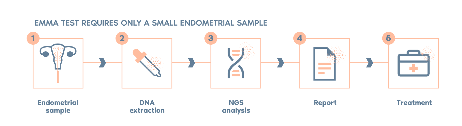 EMMA Endometrial Microbiome Metagenomic Analysis