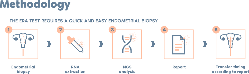 ERA® Endometrial Receptivity Analysis