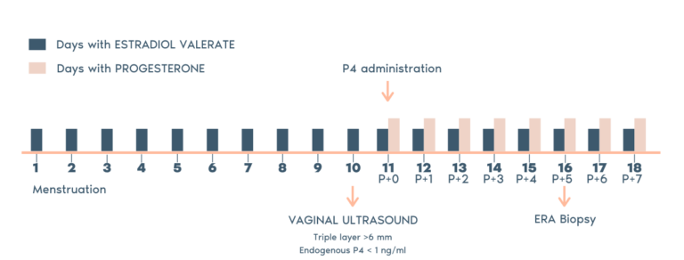 ERA® Endometrial Receptivity Analysis